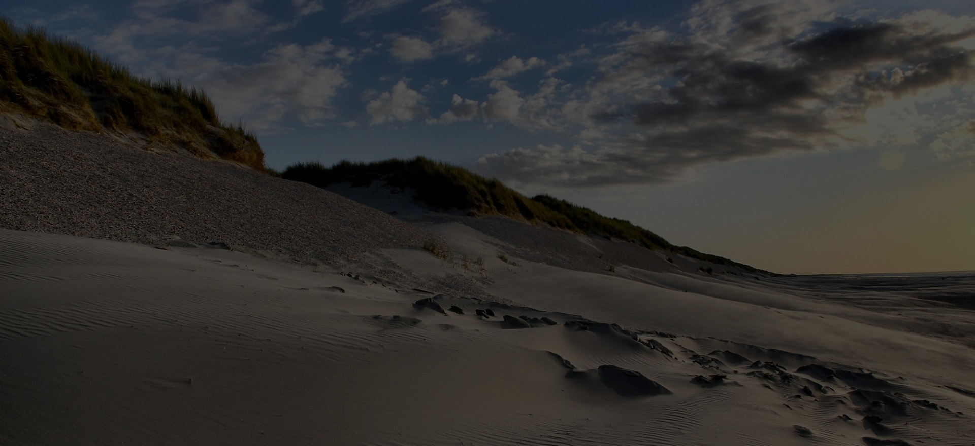 Ameland - Strandplevier Ameland